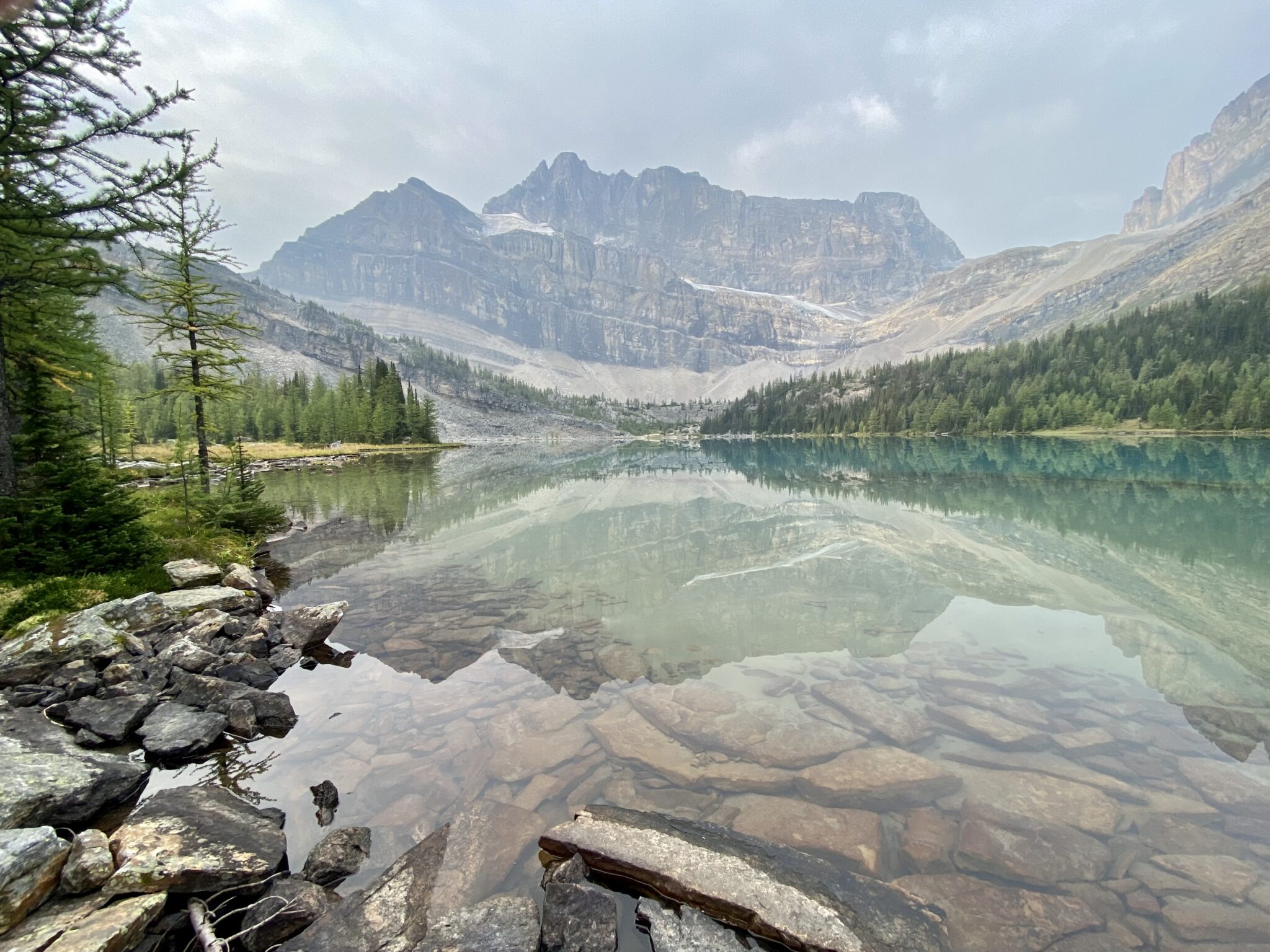 Environmental Services - Consor